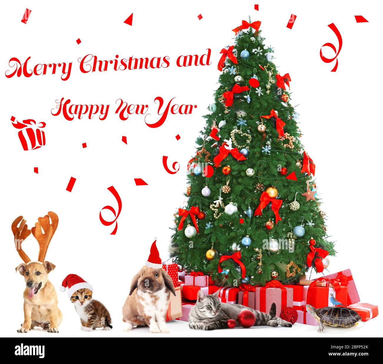 Cat christmas funny card Cut Out Stock Images & Pictures - Alamy
