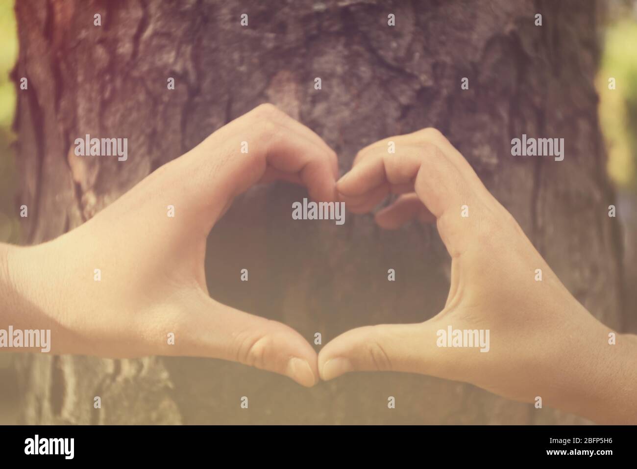 Close-up of human hands making heart shape in front of tree Stock Photo ...