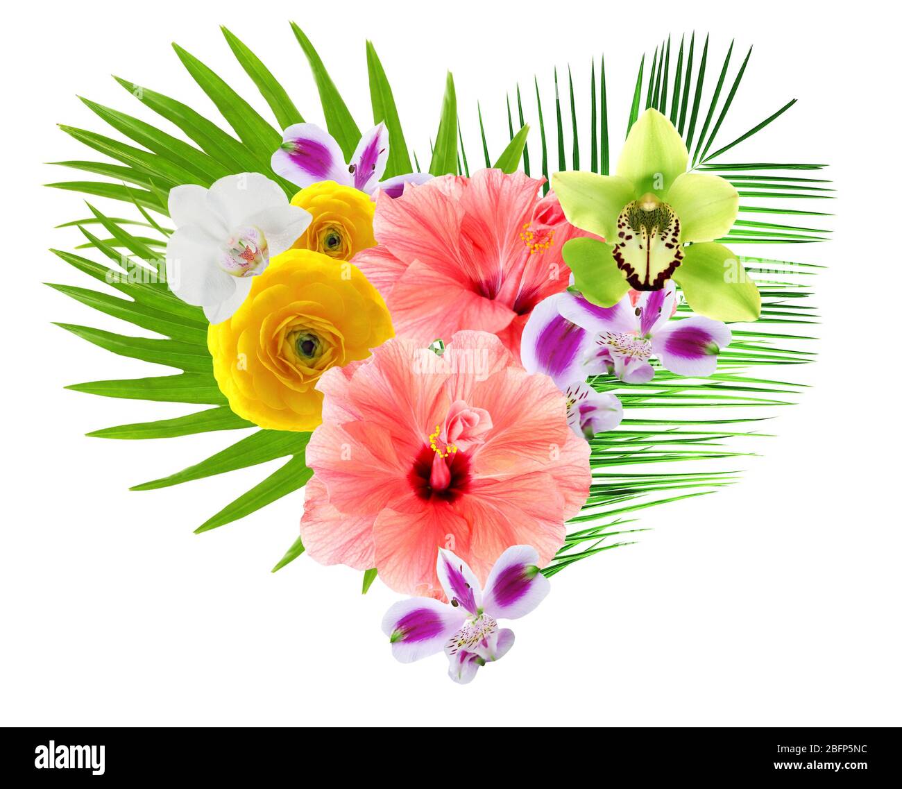 Beautiful flowers collage on white background. Heart shape Stock Photo ...