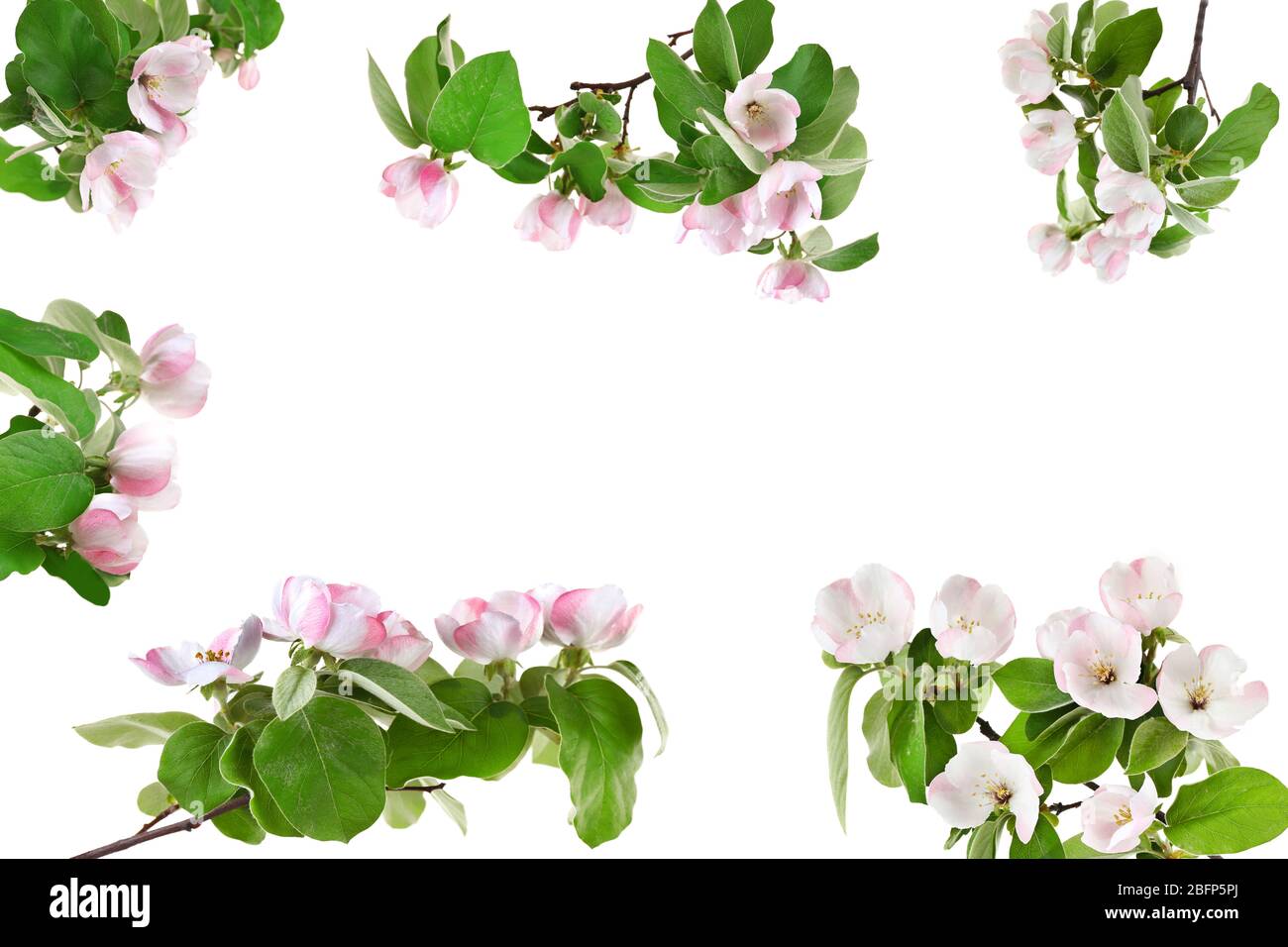 Spring background frame flowering Cut Out Stock Images & Pictures - Alamy
