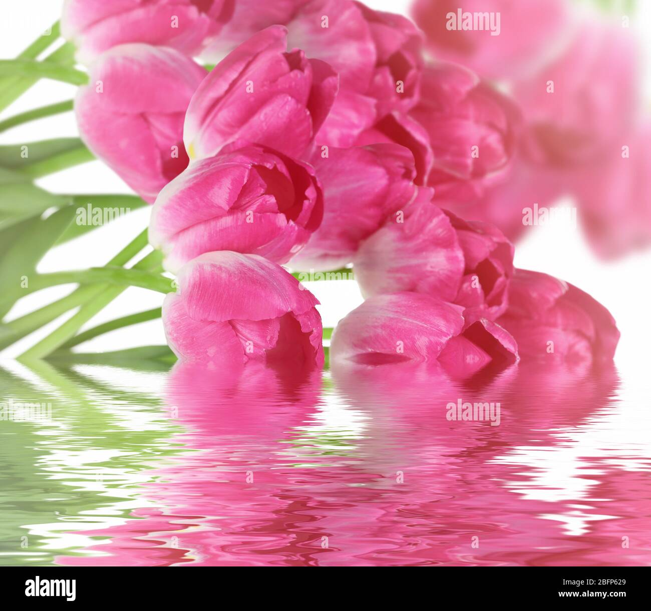 Floral background. Water reflection of beautiful flowers Stock Photo ...