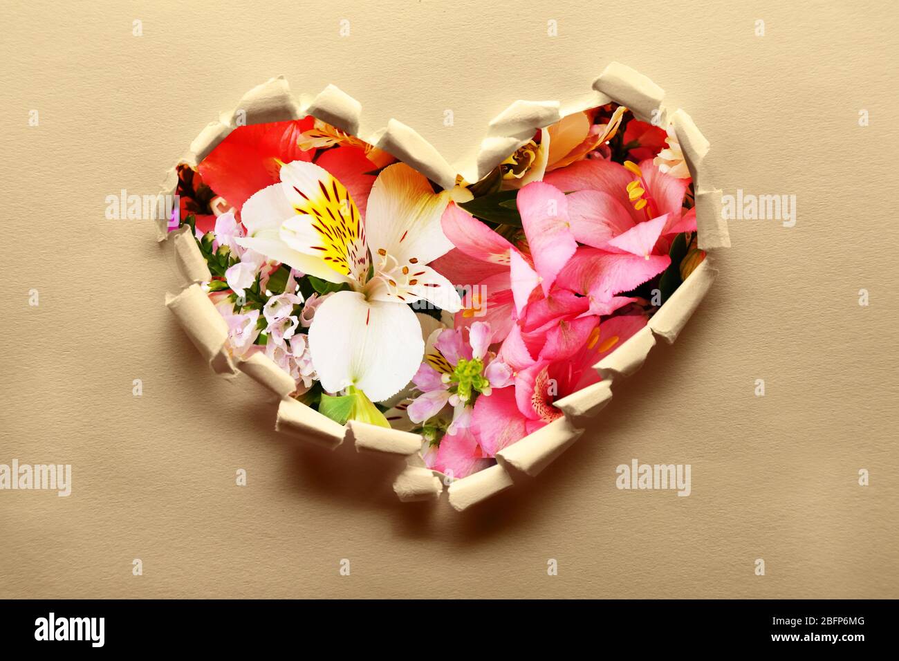 Torn paper with flowers background. Love concept Stock Photo - Alamy