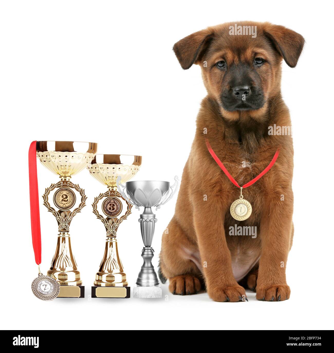 Gold prize cups medals Cut Out Stock Images & Pictures - Alamy