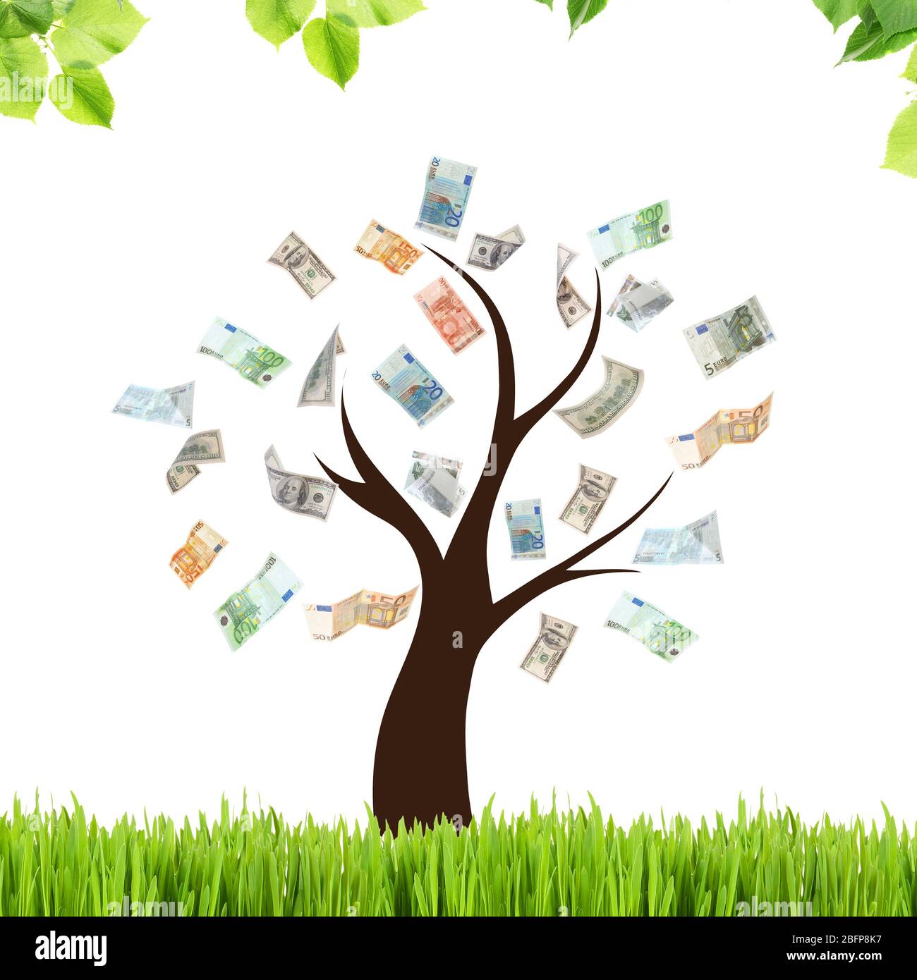 Money tree with grass on white background Stock Photo - Alamy