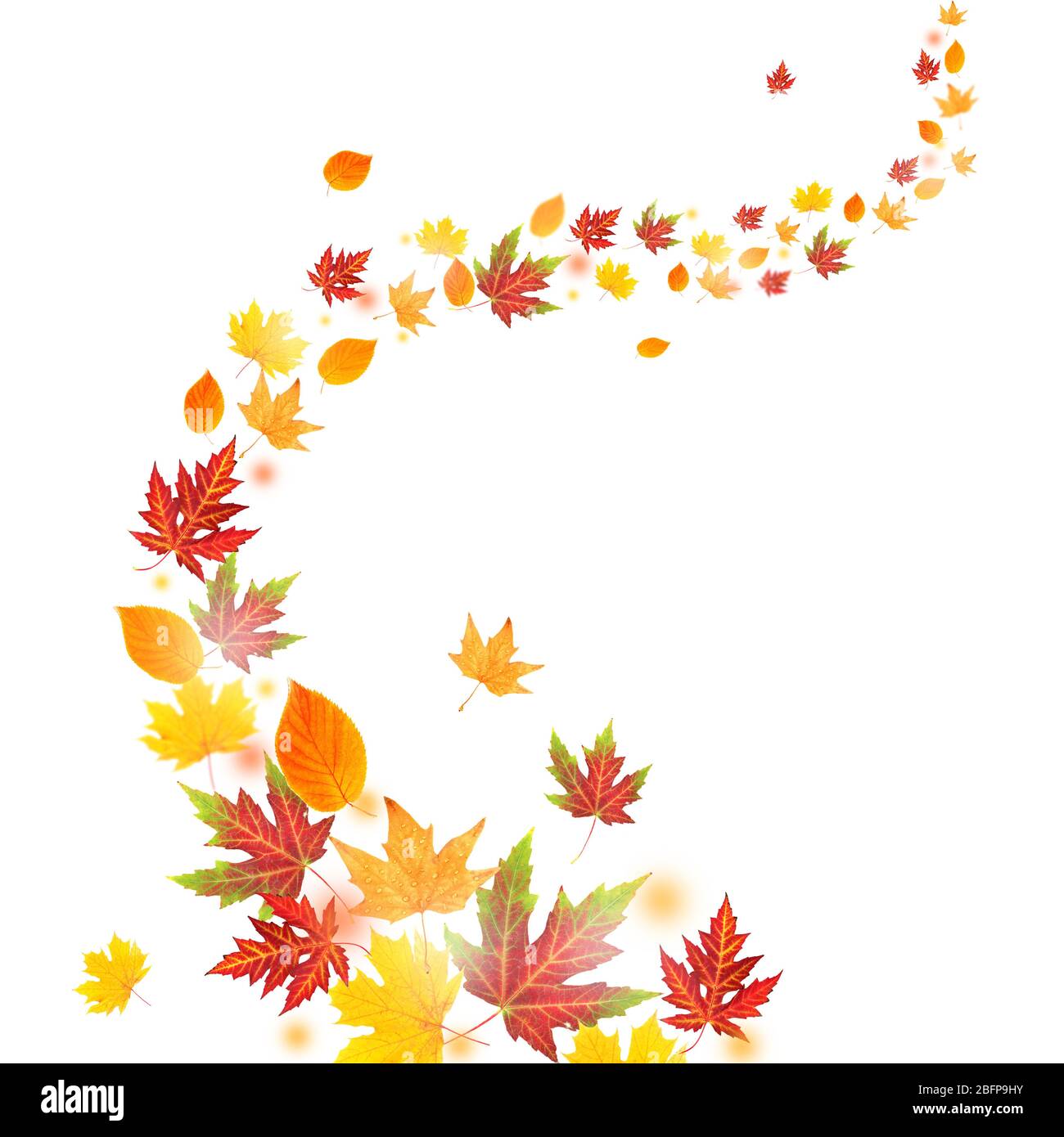 Autumn falling leaves isolated on white Stock Photo - Alamy