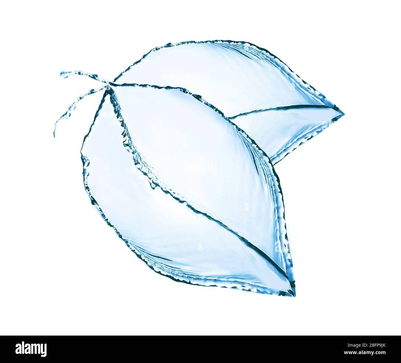 Water pattern of leaves on white background Stock Photo - Alamy