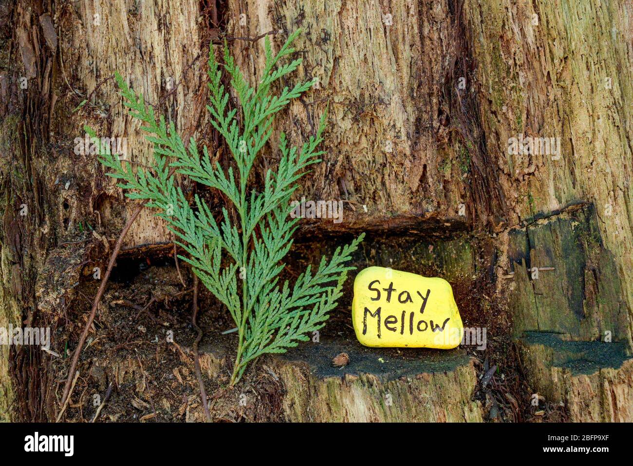 Stay mellow hi-res stock photography and images - Alamy