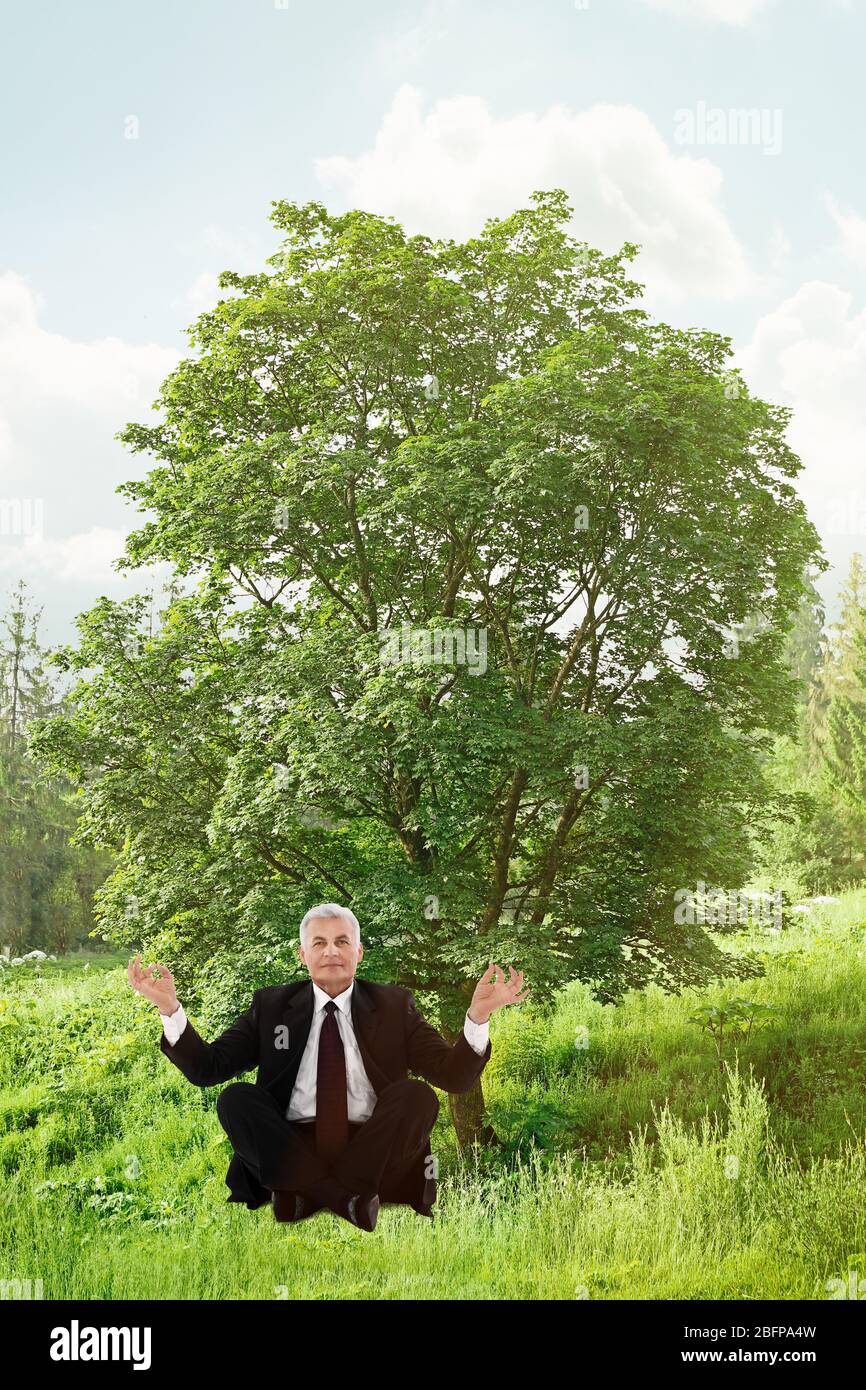Man Pose Against Tree High Resolution Stock Photography and Images - Alamy