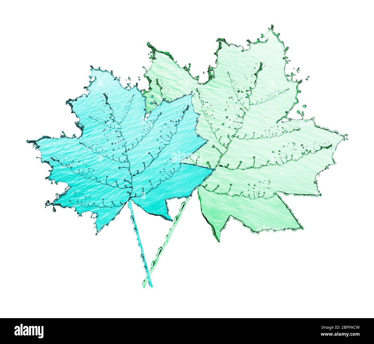 Water pattern of leaves on white background Stock Photo - Alamy