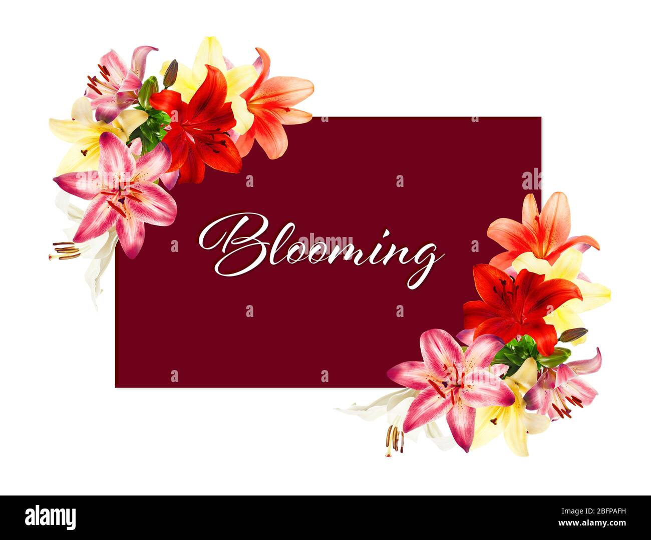 Composition blank card red Cut Out Stock Images & Pictures - Alamy