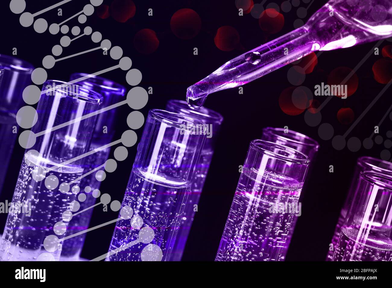 Pipette and test tubes with liquid, closeup. DNA research technology ...