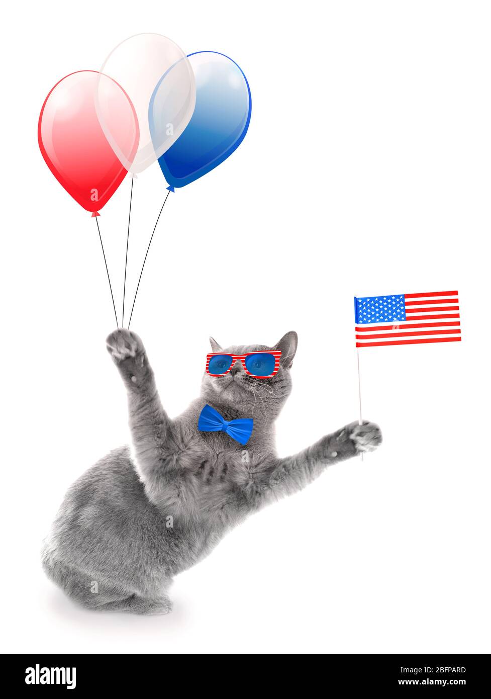Cute cat with USA flag and air balloons on white background. USA ...