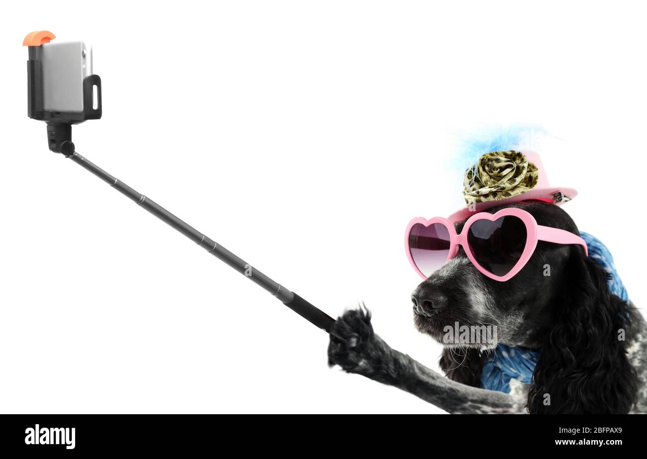 Funny Dog Selfie
