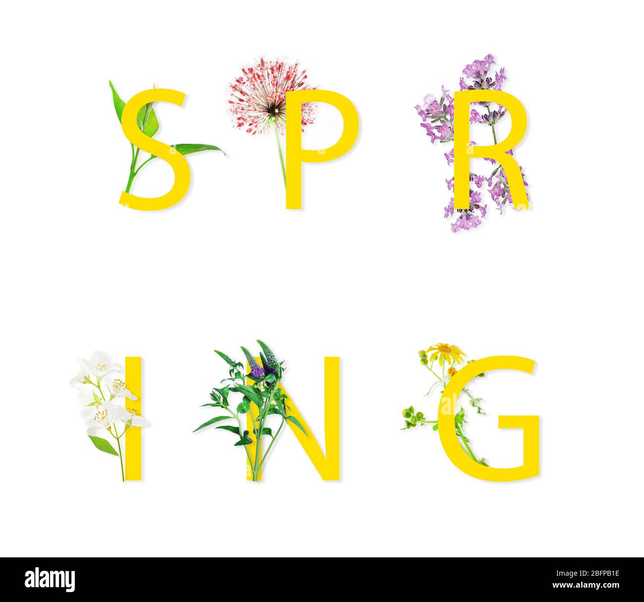 Text spring different beautiful hi-res stock photography and images - Alamy
