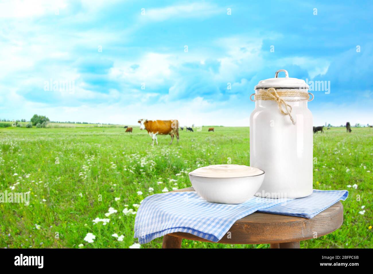 Dairy products and cows on the meadow Stock Photo - Alamy