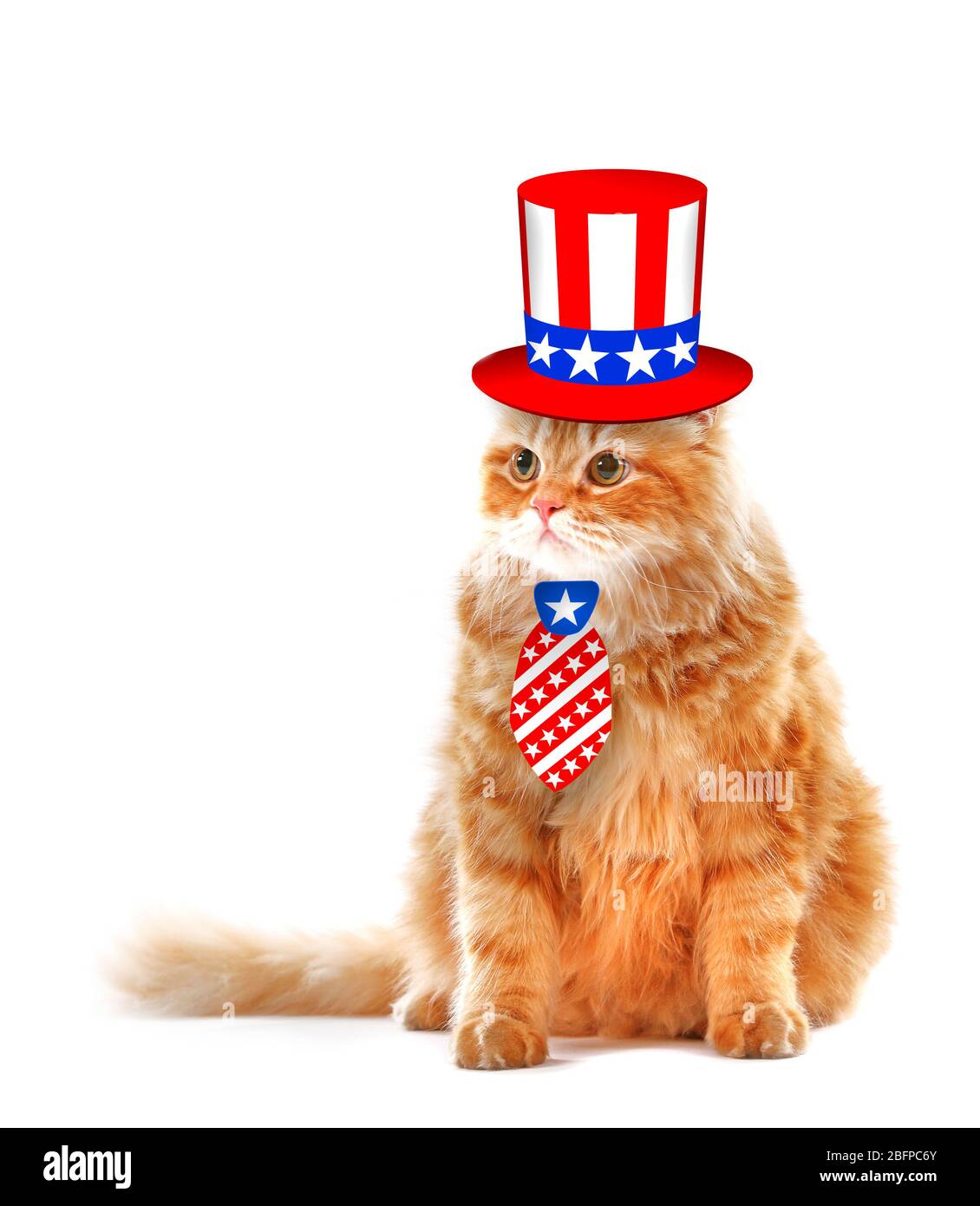 Cute cat in Uncle Sam hat and tie on white background. USA holiday ...