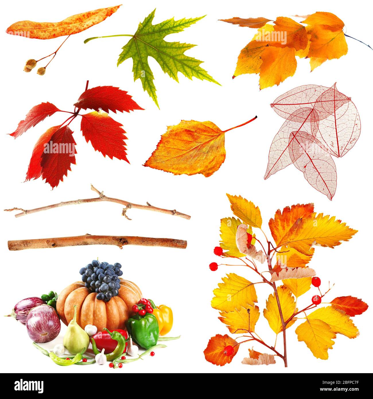 Fallen dead leaves on Cut Out Stock Images & Pictures - Alamy