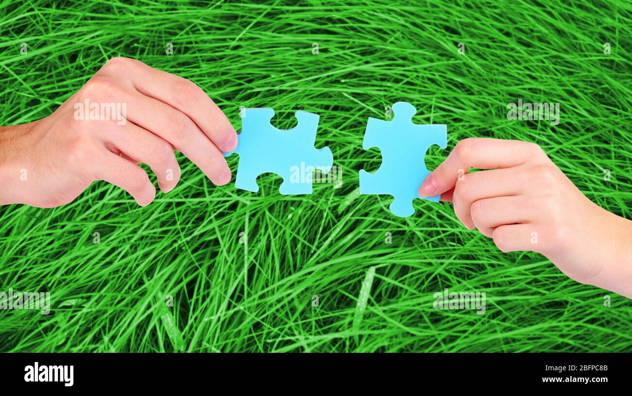 Hands with blue puzzle pieces on green grass background Stock Photo - Alamy