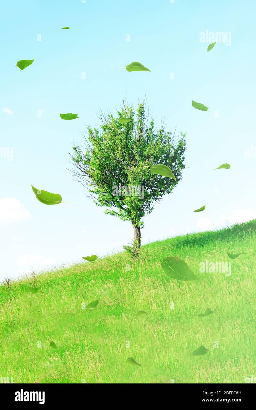 Flying green leaves hi-res stock photography and images - Alamy