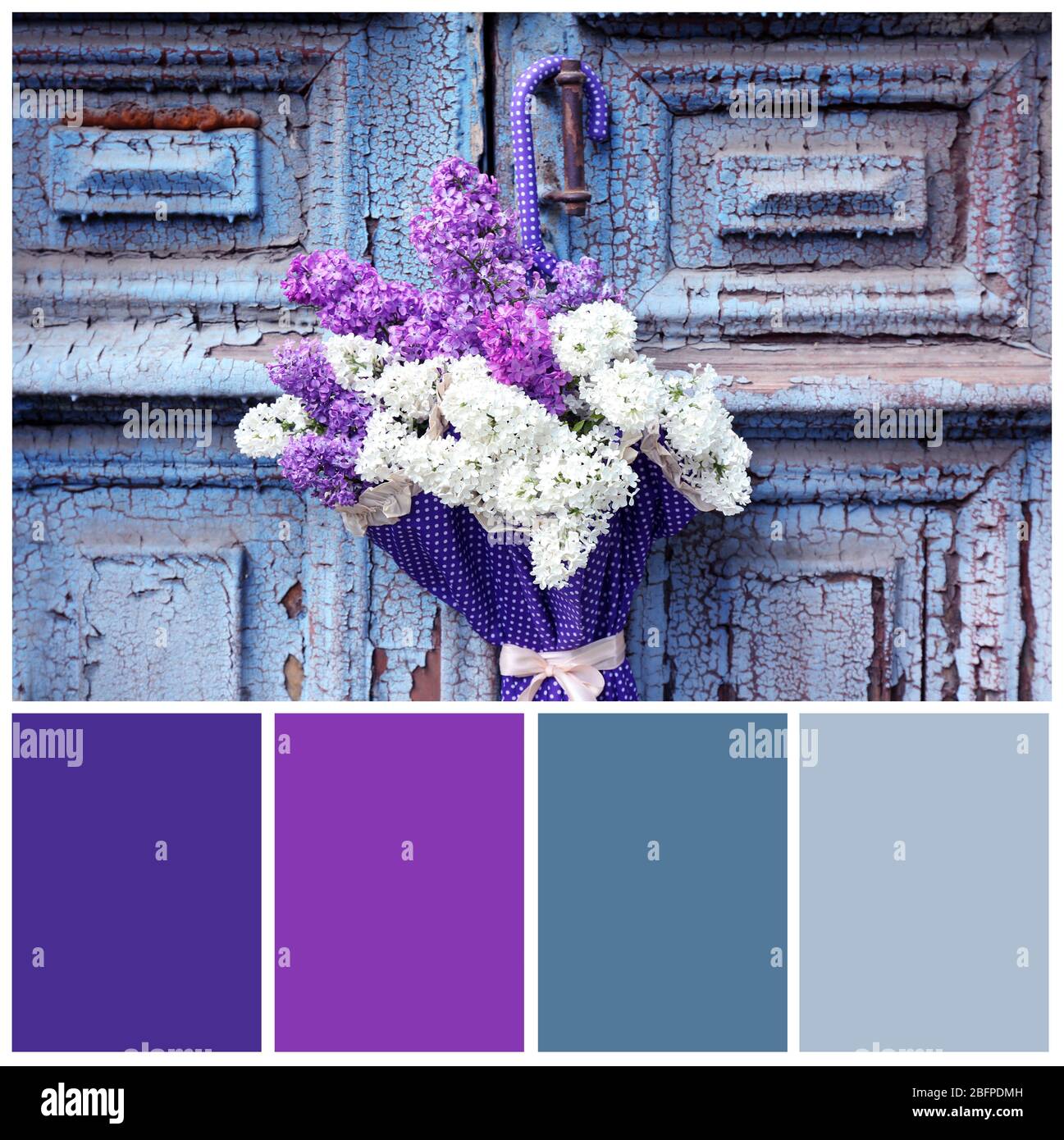 Lilac Color Vs Lavender