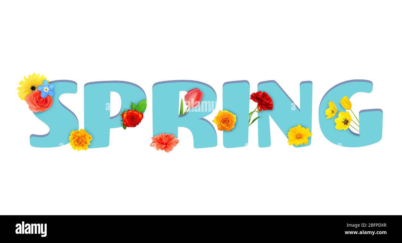 Word SPRING and and beautiful flowers on white background Stock Photo ...