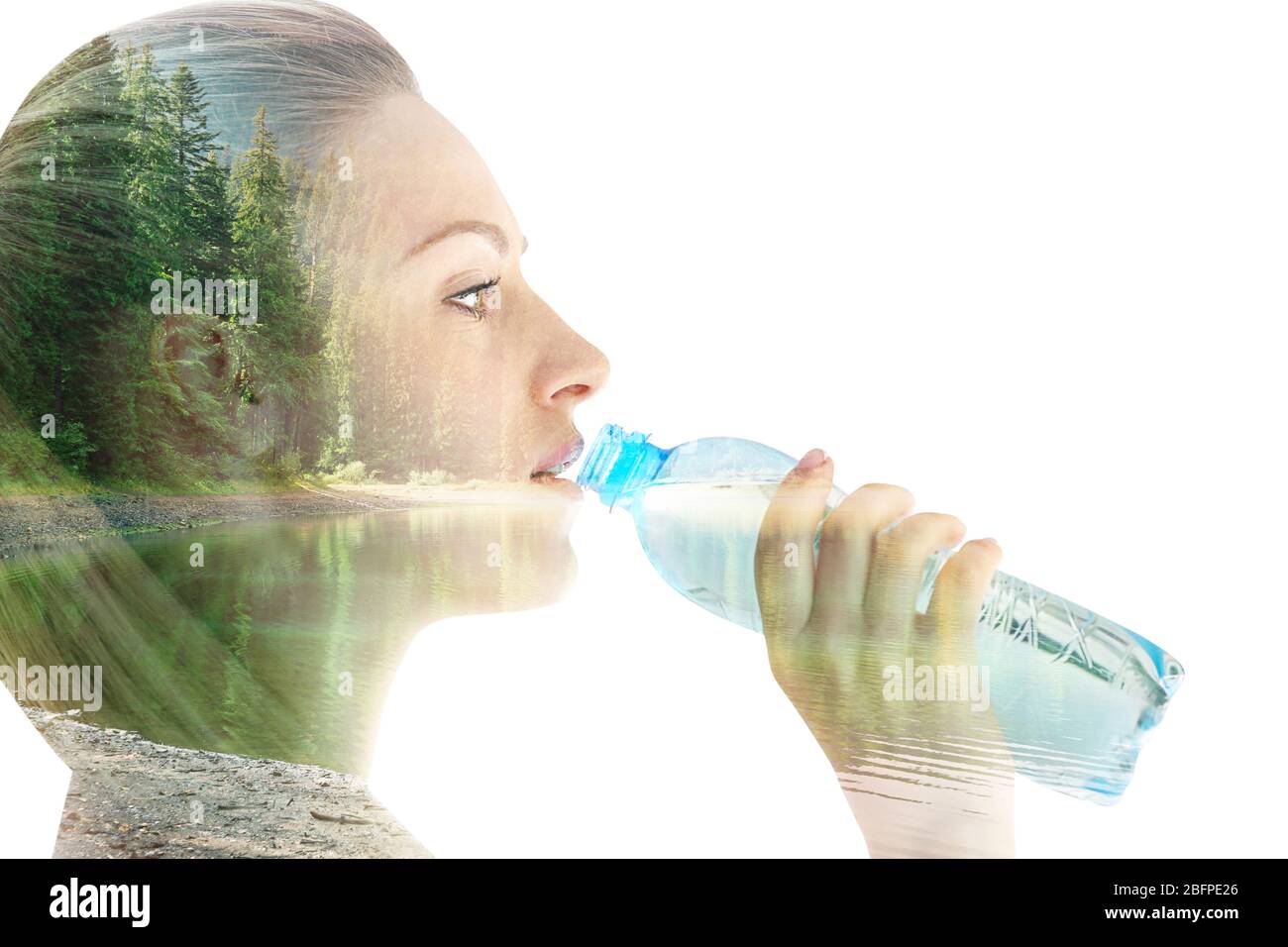 Forest ecosystem wellbeing hi-res stock photography and images - Alamy