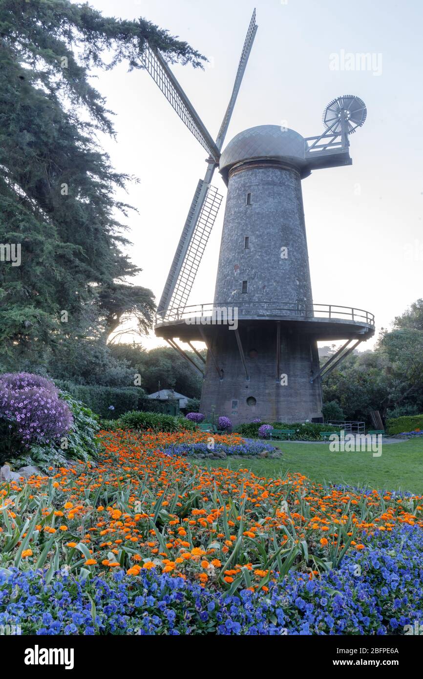 Golden gate park windmills hi-res stock photography and images - Alamy