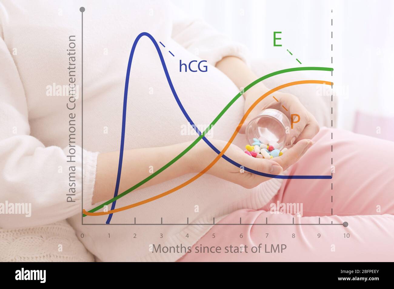Health care concept. Graphic of changes in hormone levels during ...