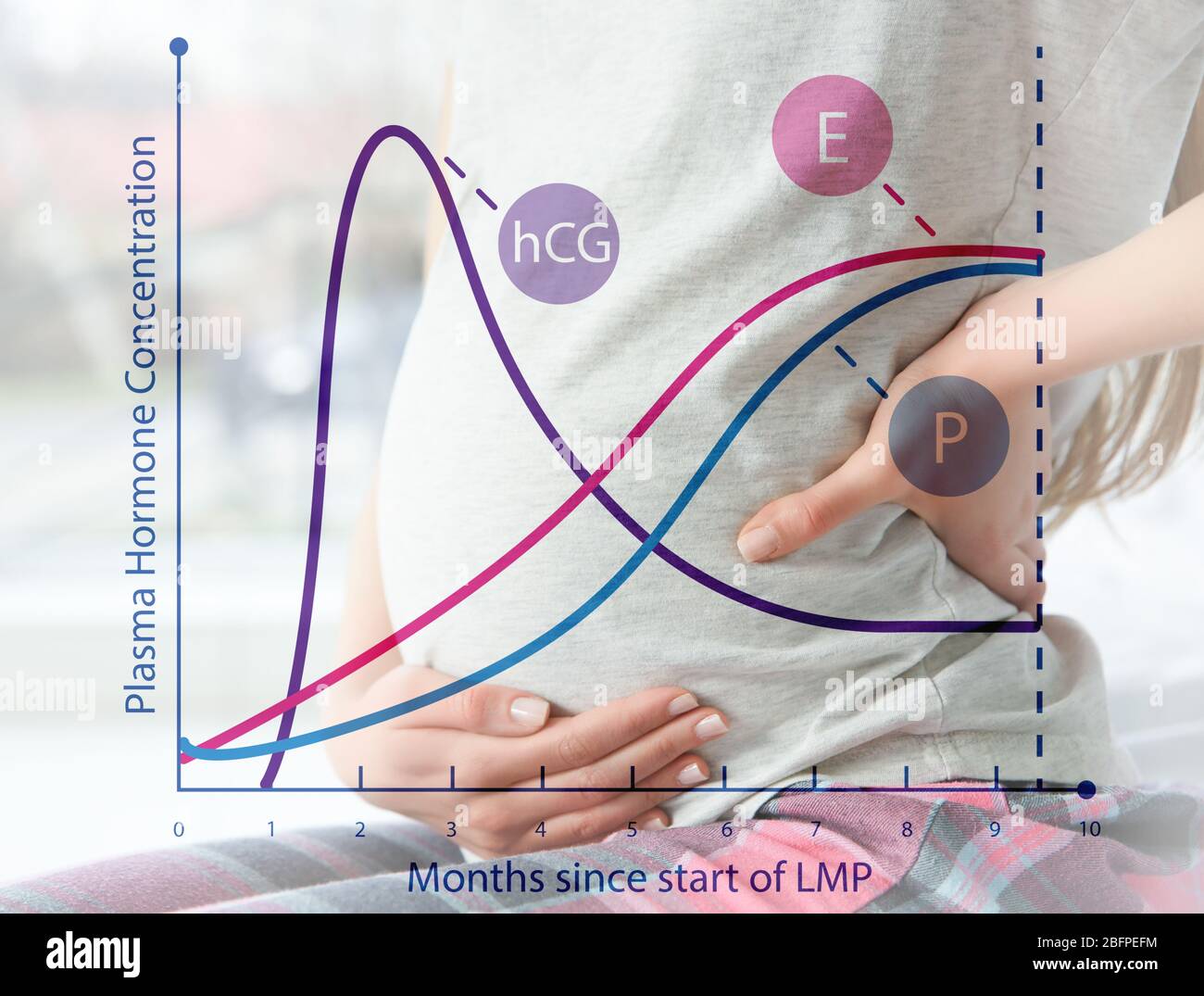 Health care concept. Graphic of changes in hormone levels during ...