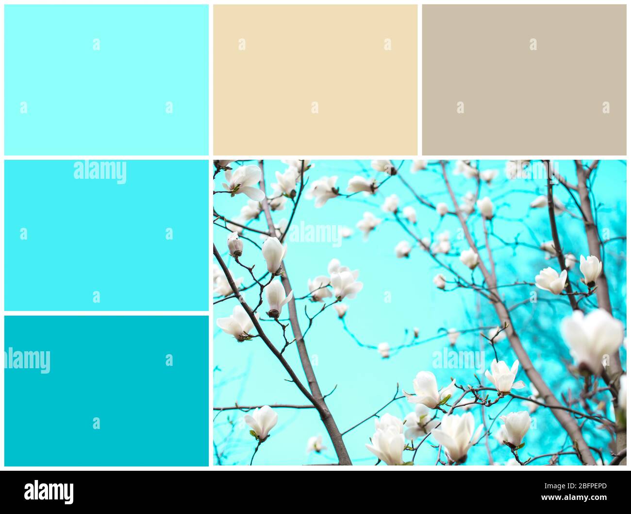 Blue colour scheme garden Cut Out Stock Images & Pictures - Alamy