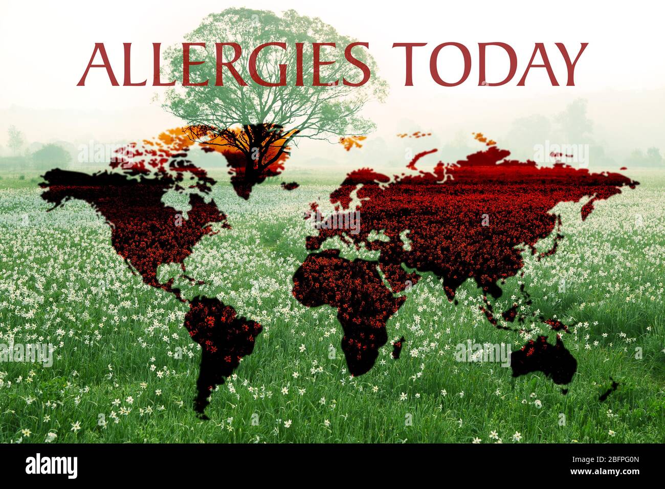 Text ALLERGIES TODAY and world map on landscape background Stock Photo ...