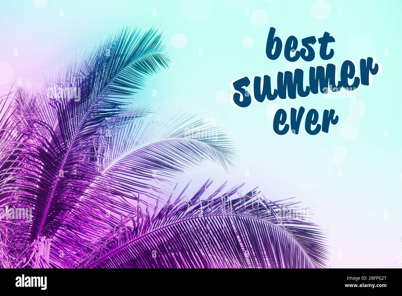 Text BEST SUMMER EVER and palm tree on sky background Stock Photo - Alamy