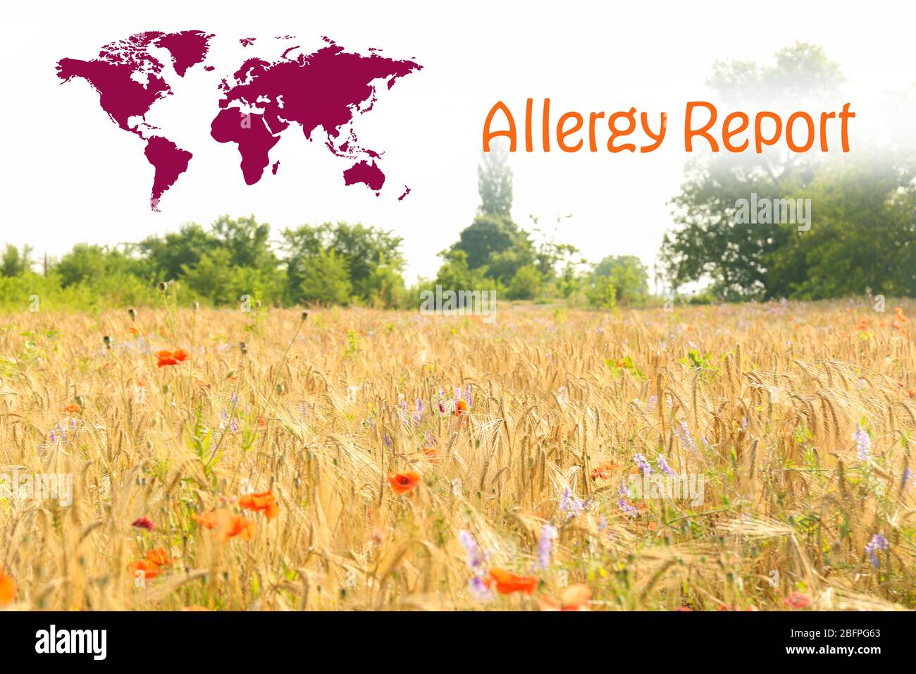 Text ALLERGY REPORT and world map on landscape background Stock Photo ...