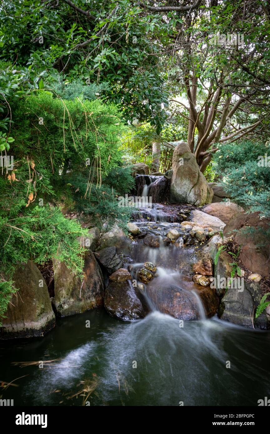waterfall in the Adelaide Himeji Garden, Adelaide South Australia Stock ...