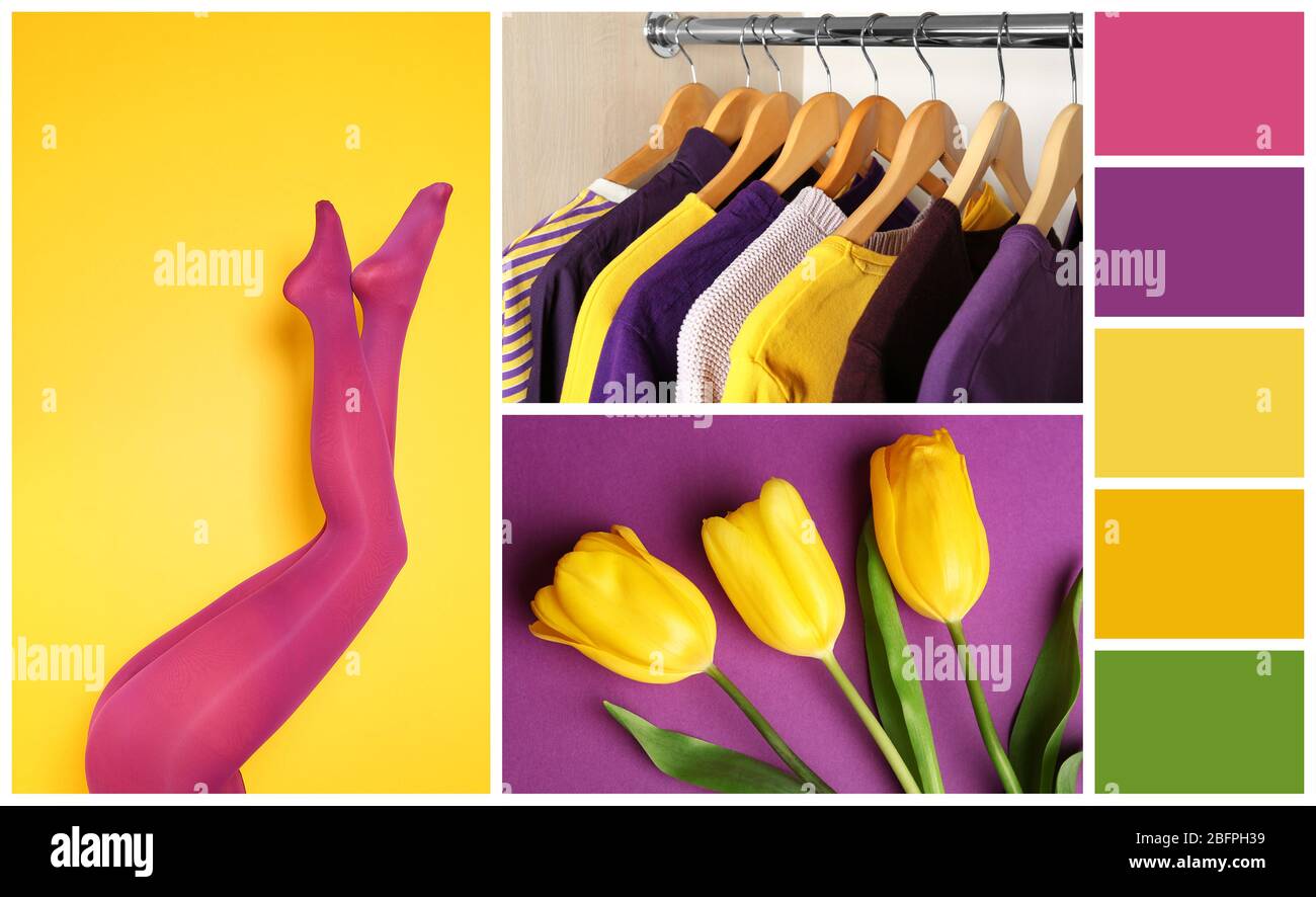 Color matching palette. Collage with accent on lilac and yellow colors ...