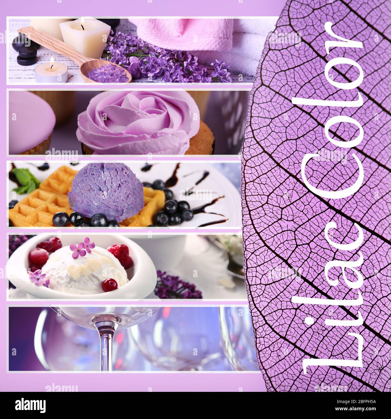 Trendy concept set lilac hi-res stock photography and images - Alamy