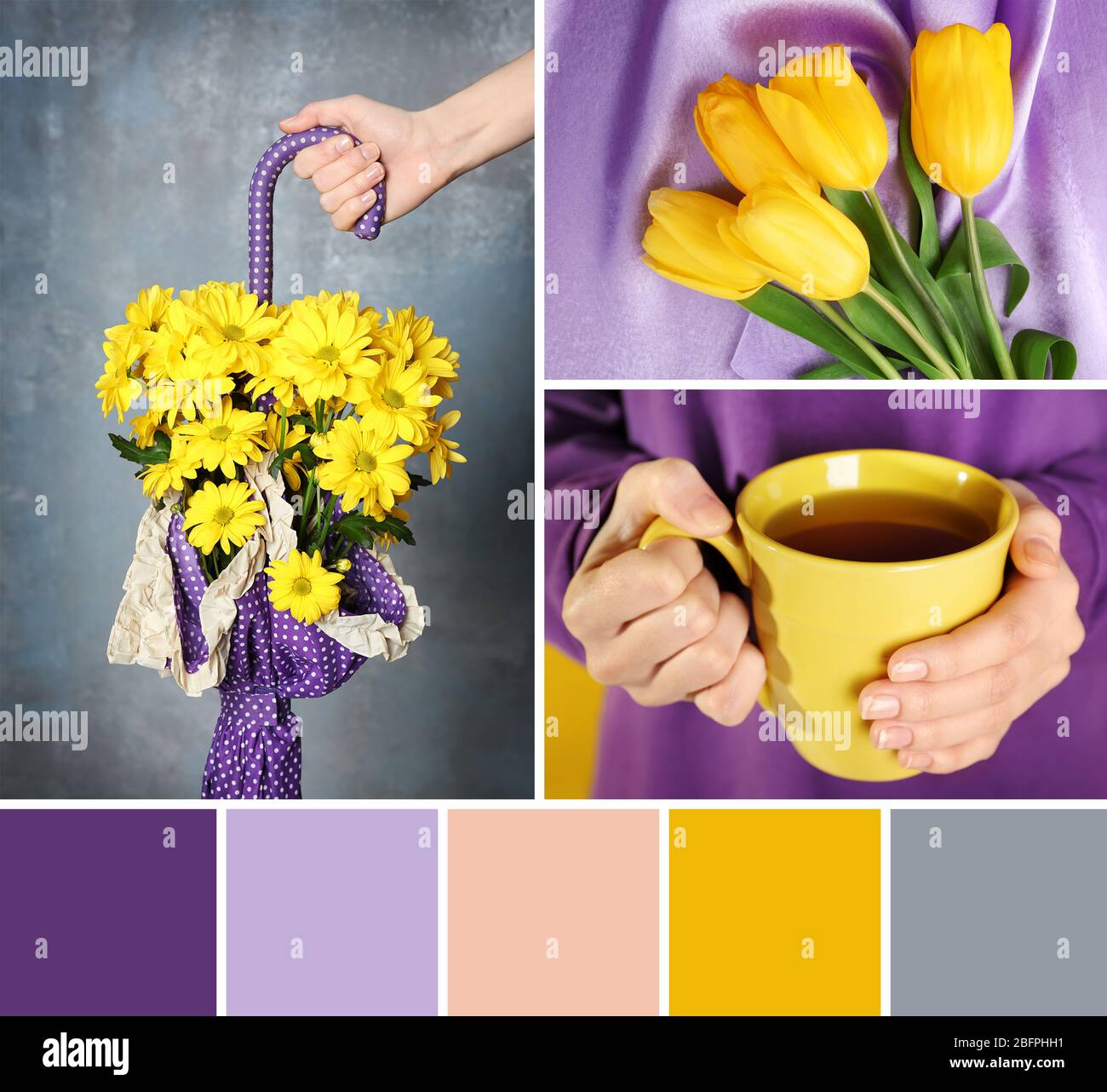 Color matching palette. Collage with accent on lilac and yellow colors ...