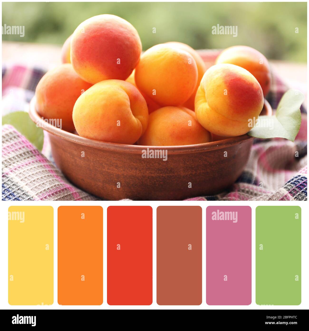 Color palette in fresh Cut Out Stock Images & Pictures - Alamy