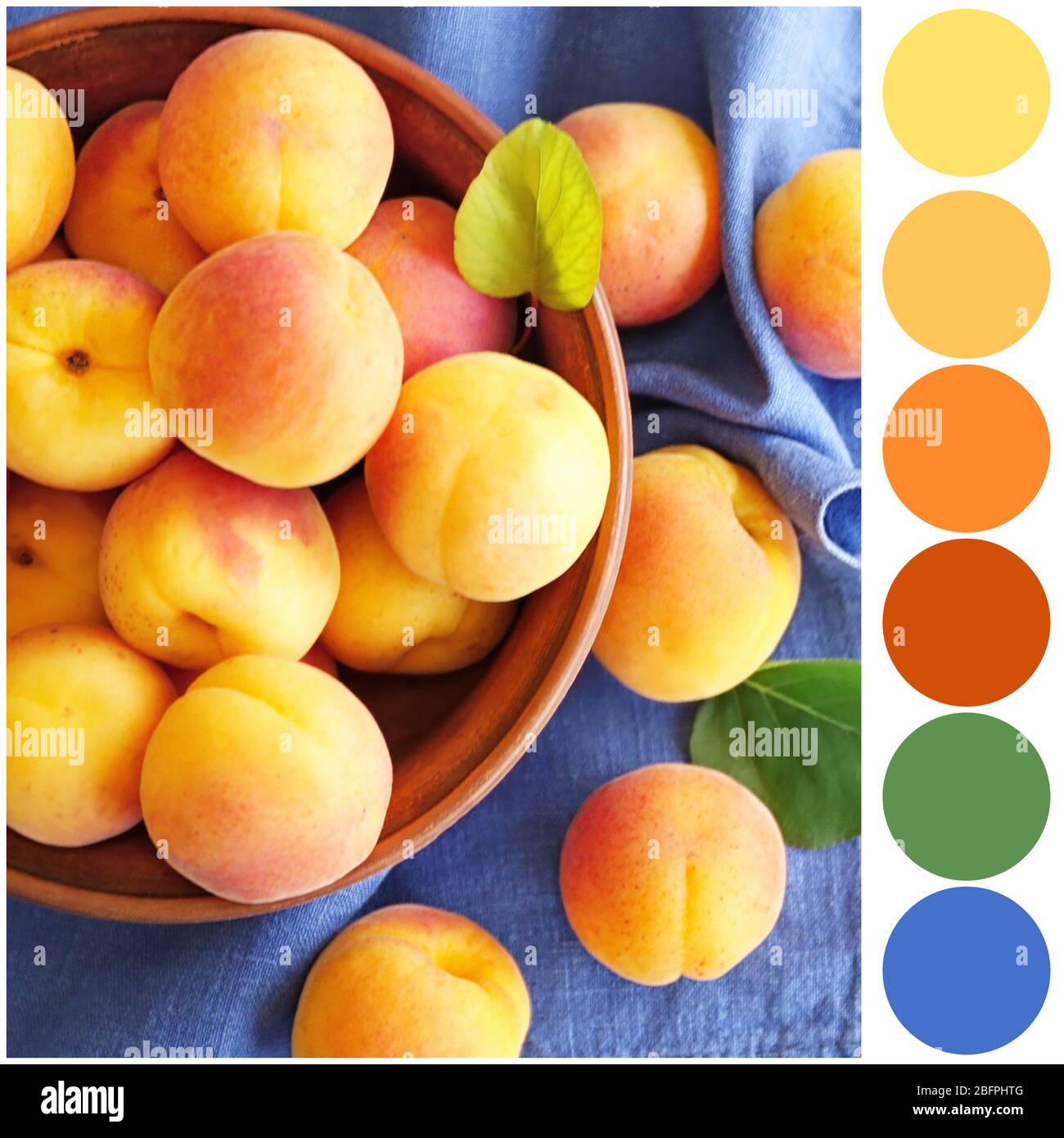 Color palette in fresh Cut Out Stock Images & Pictures - Alamy
