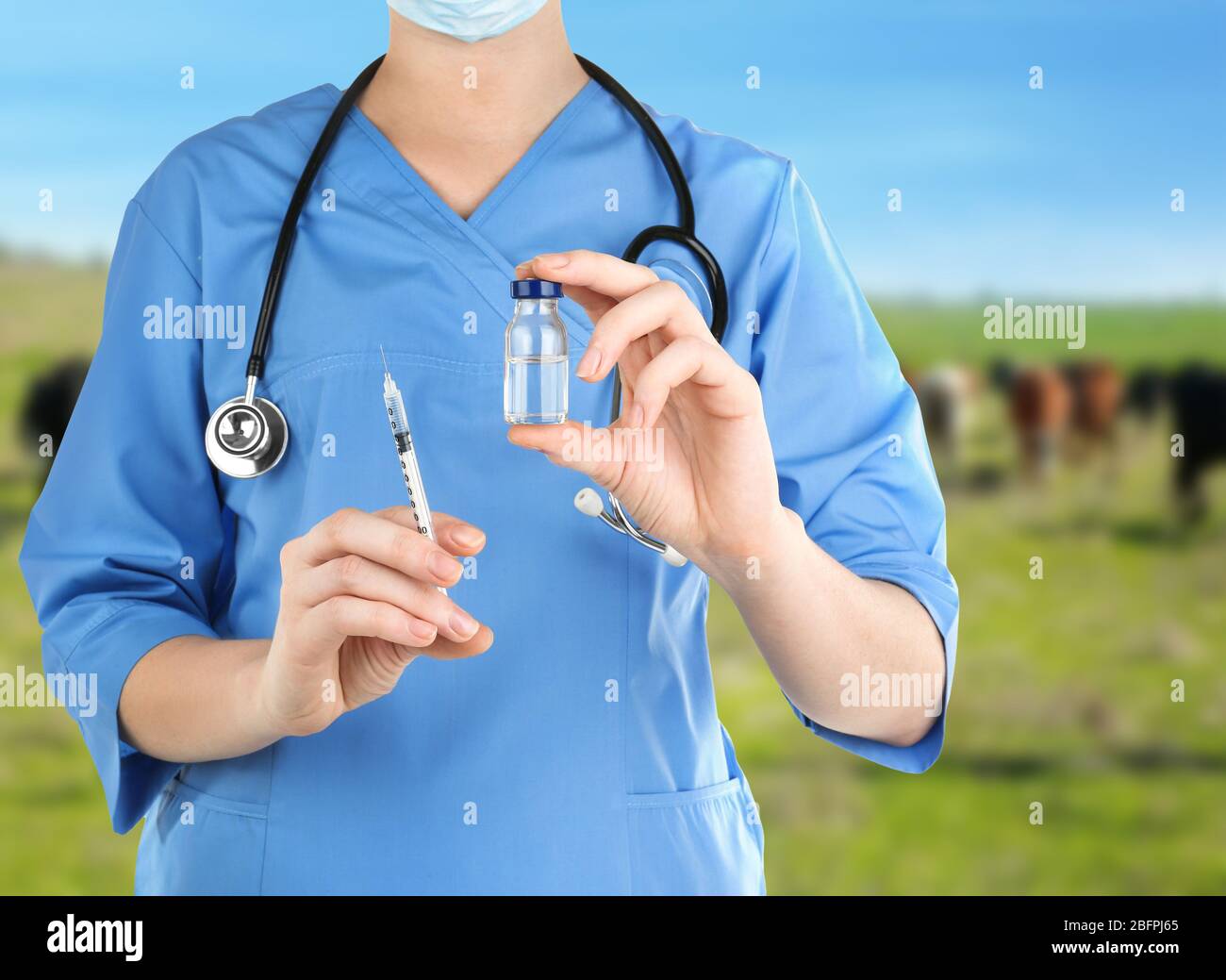 Cattle vaccine hi-res stock photography and images - Alamy