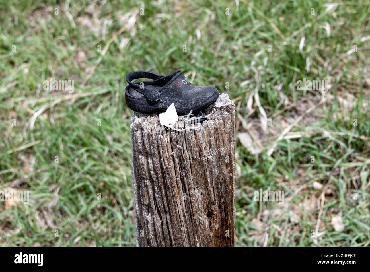 Natures Lost and Found sitting on top of a post in a field Stock Photo ...