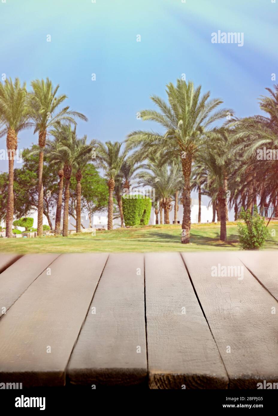 Wooden table and palm trees on background Stock Photo - Alamy
