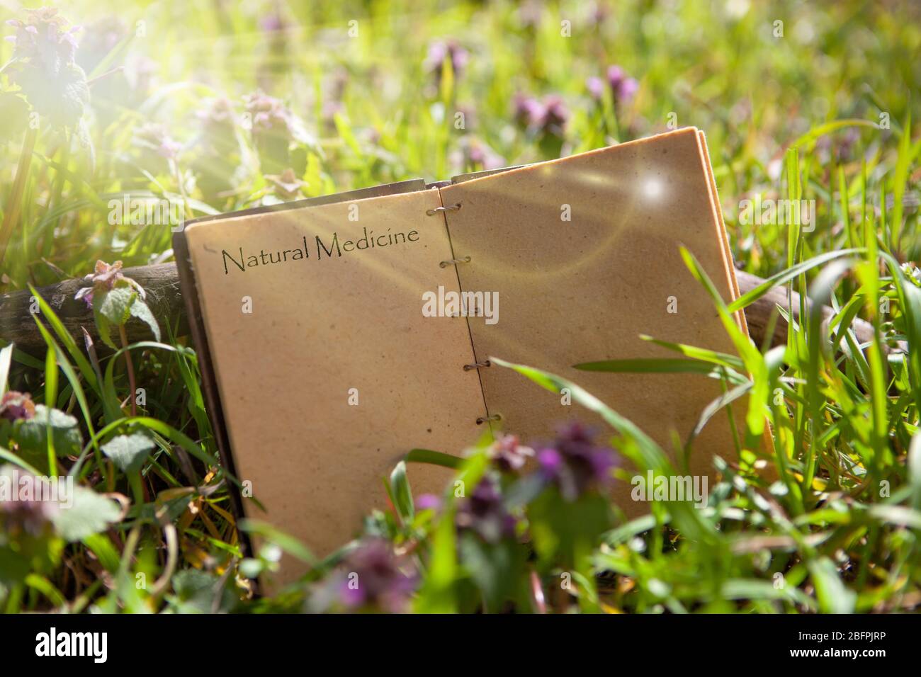 Traditional knowledge - herbal medicine. Natural treatments and old ...