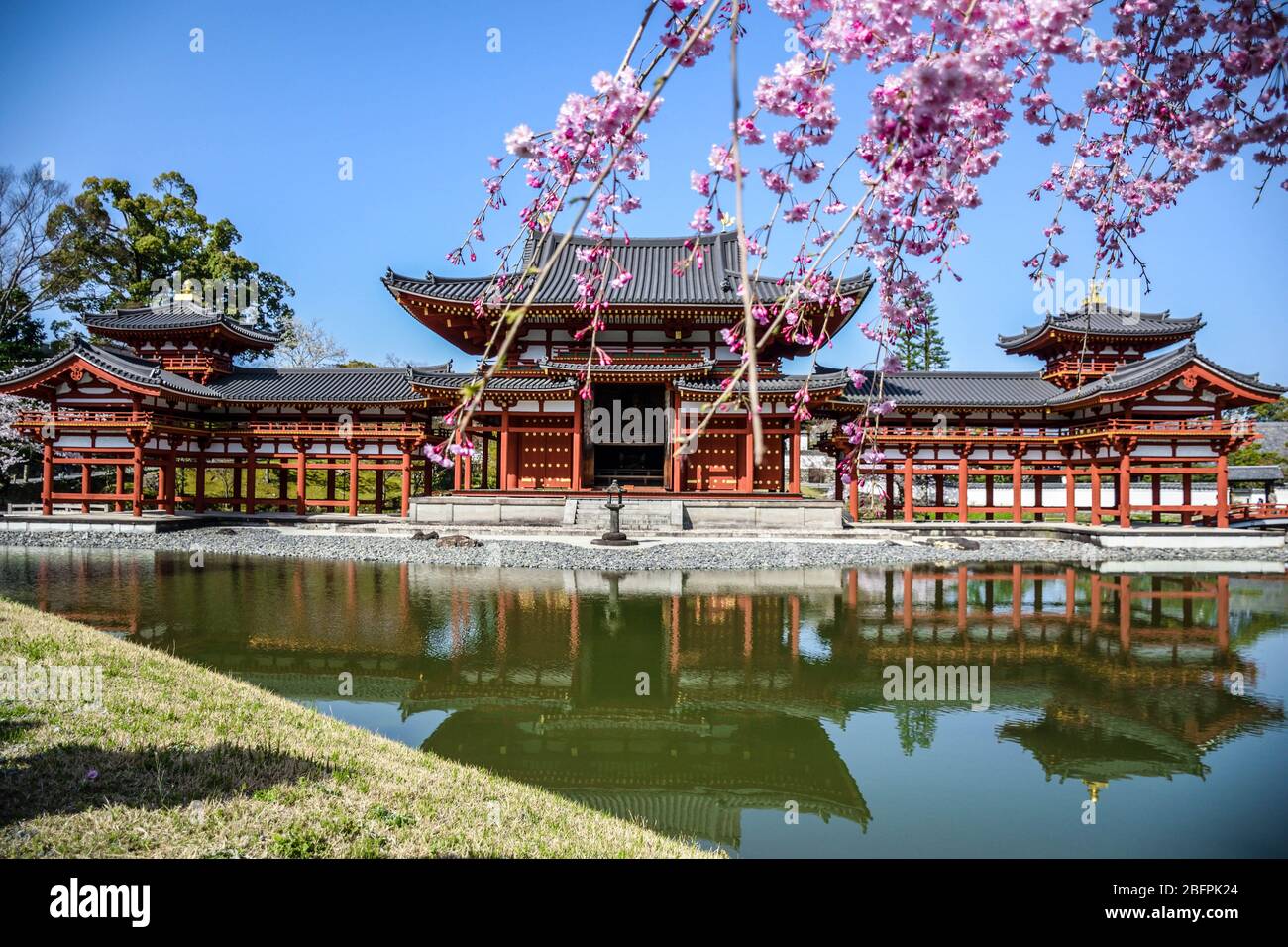 Ancient red wooden palace and cherry blossoms in Kyoto Stock Photo - Alamy