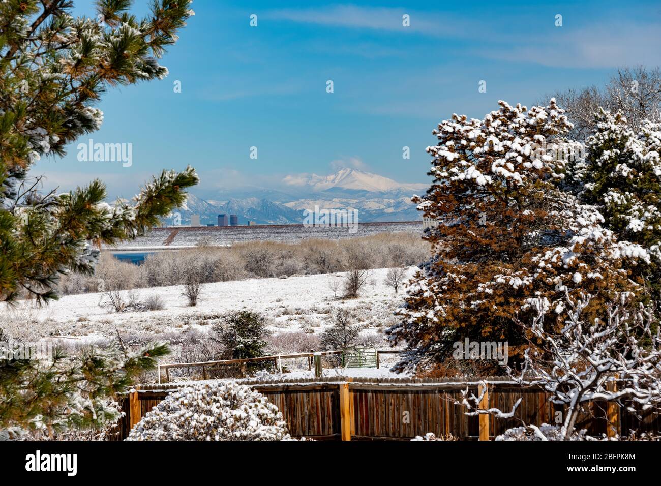 Fir trees snow vector hi-res stock photography and images - Alamy