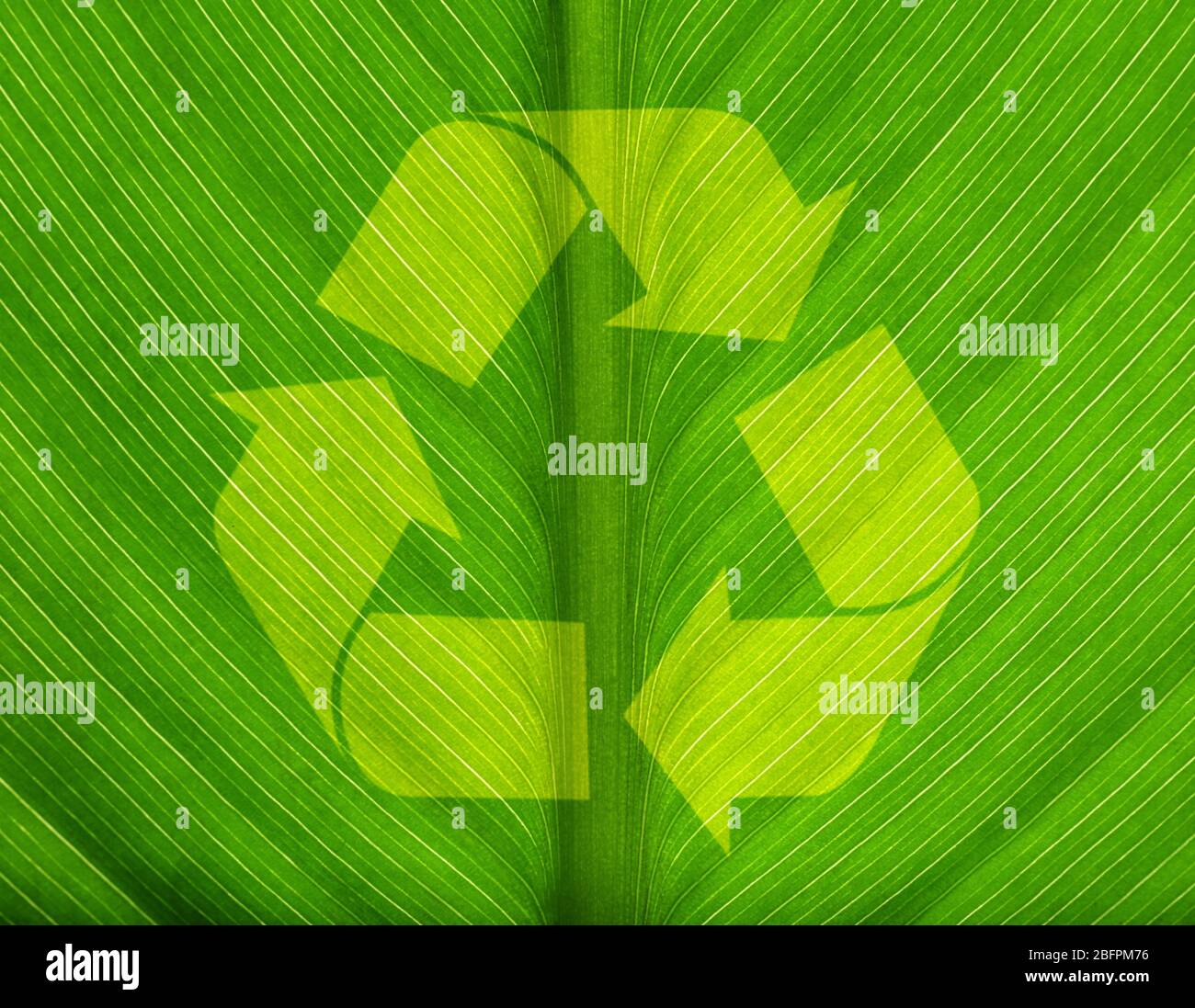 Concept of environmental conservation and protection. Symbol of ...
