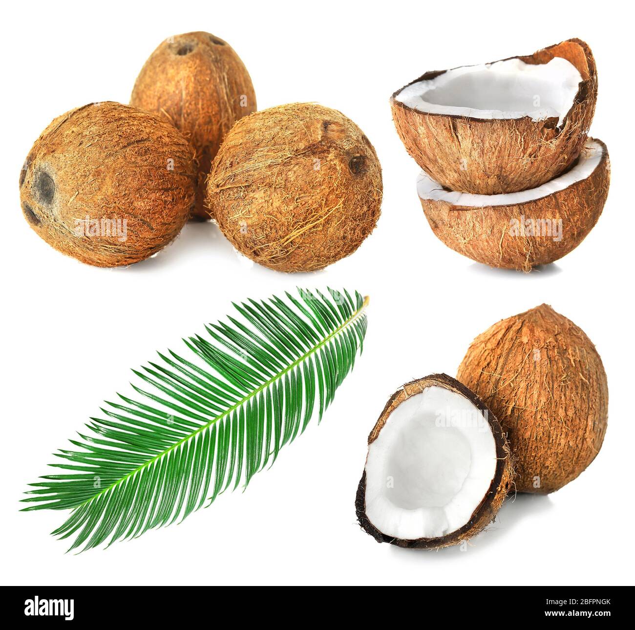 Set of coconut pieces and nuts on white background Stock Photo - Alamy