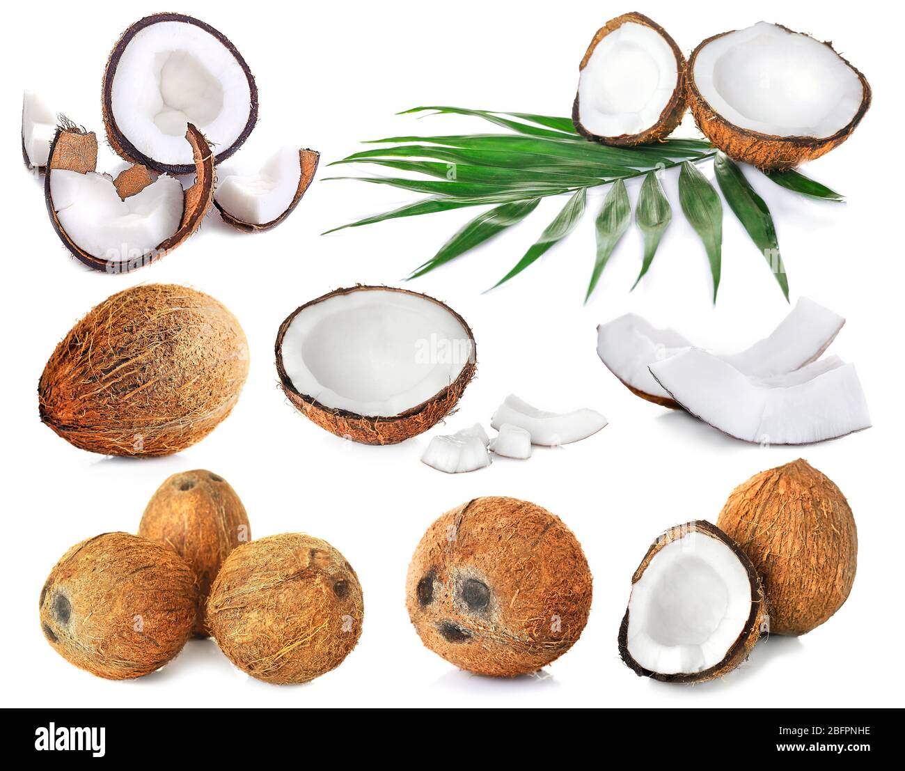 Set of coconut pieces and nuts on white background Stock Photo - Alamy