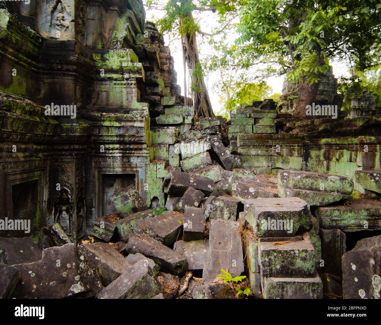 Collapsed stone wall overgrown by tree roots in famous Ta Phrom "Tomb ...