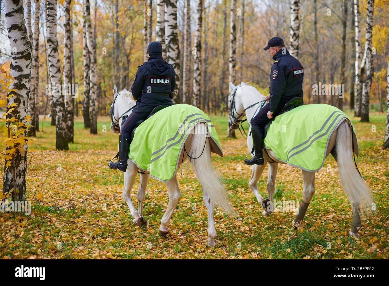 Mounted police in autumn city park, back view. Two russian police ...